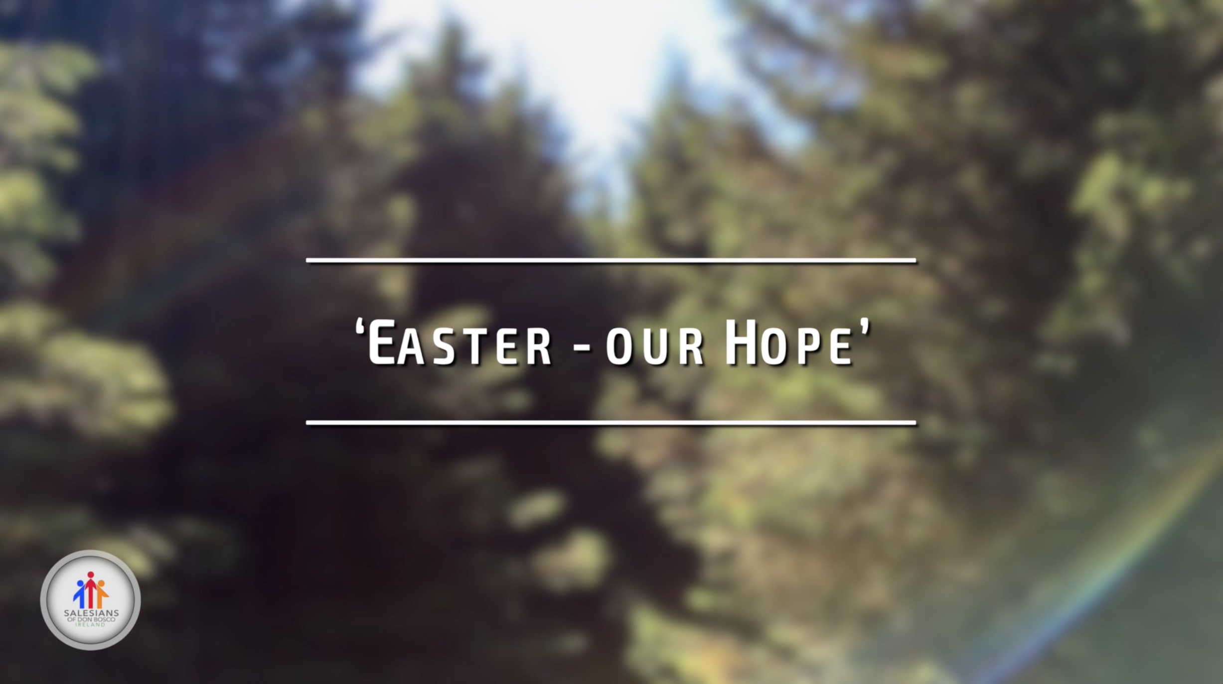 Easter Sunday – Sunday Reflection