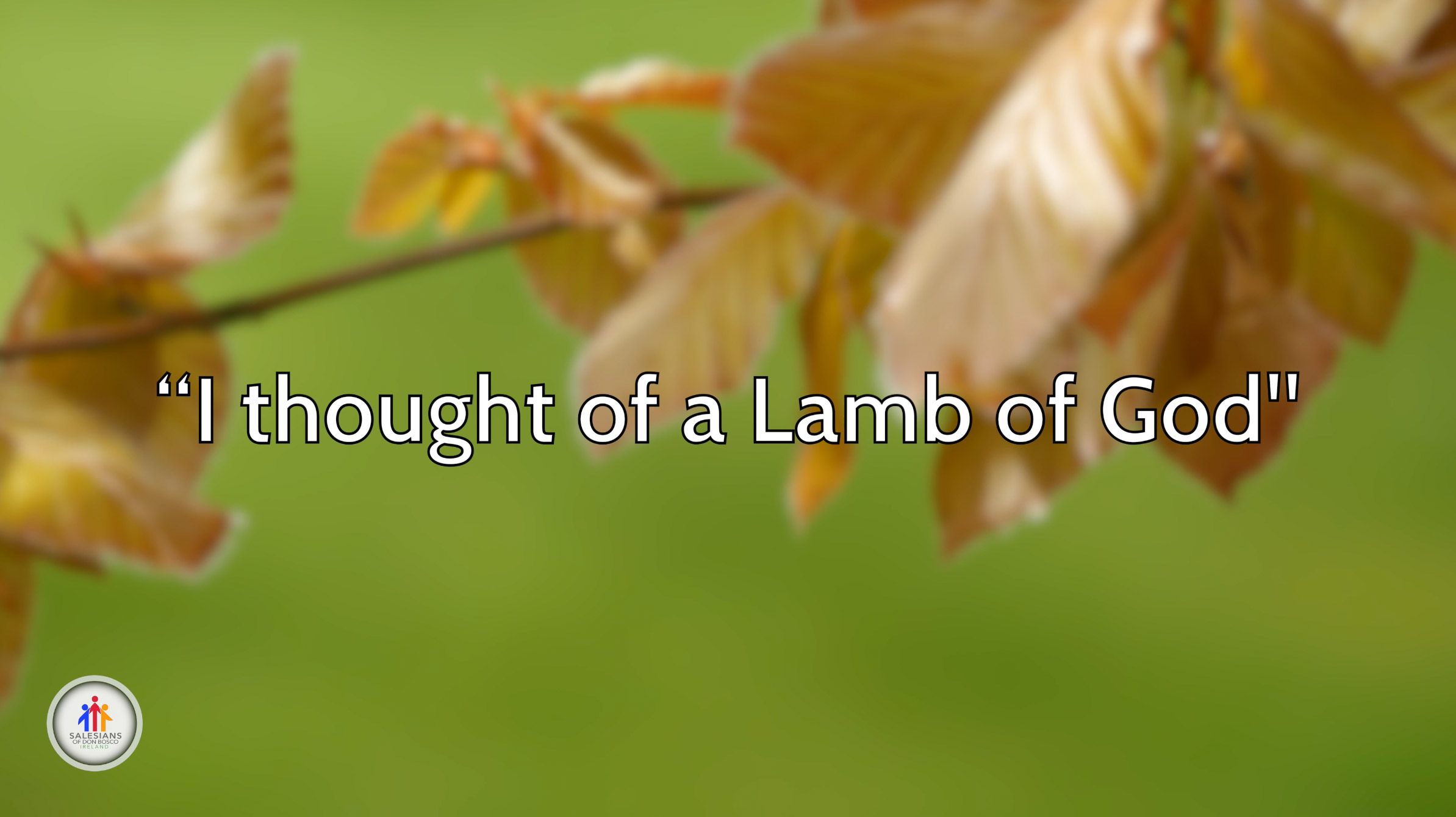 4th Sunday of Easter – Sunday Reflection