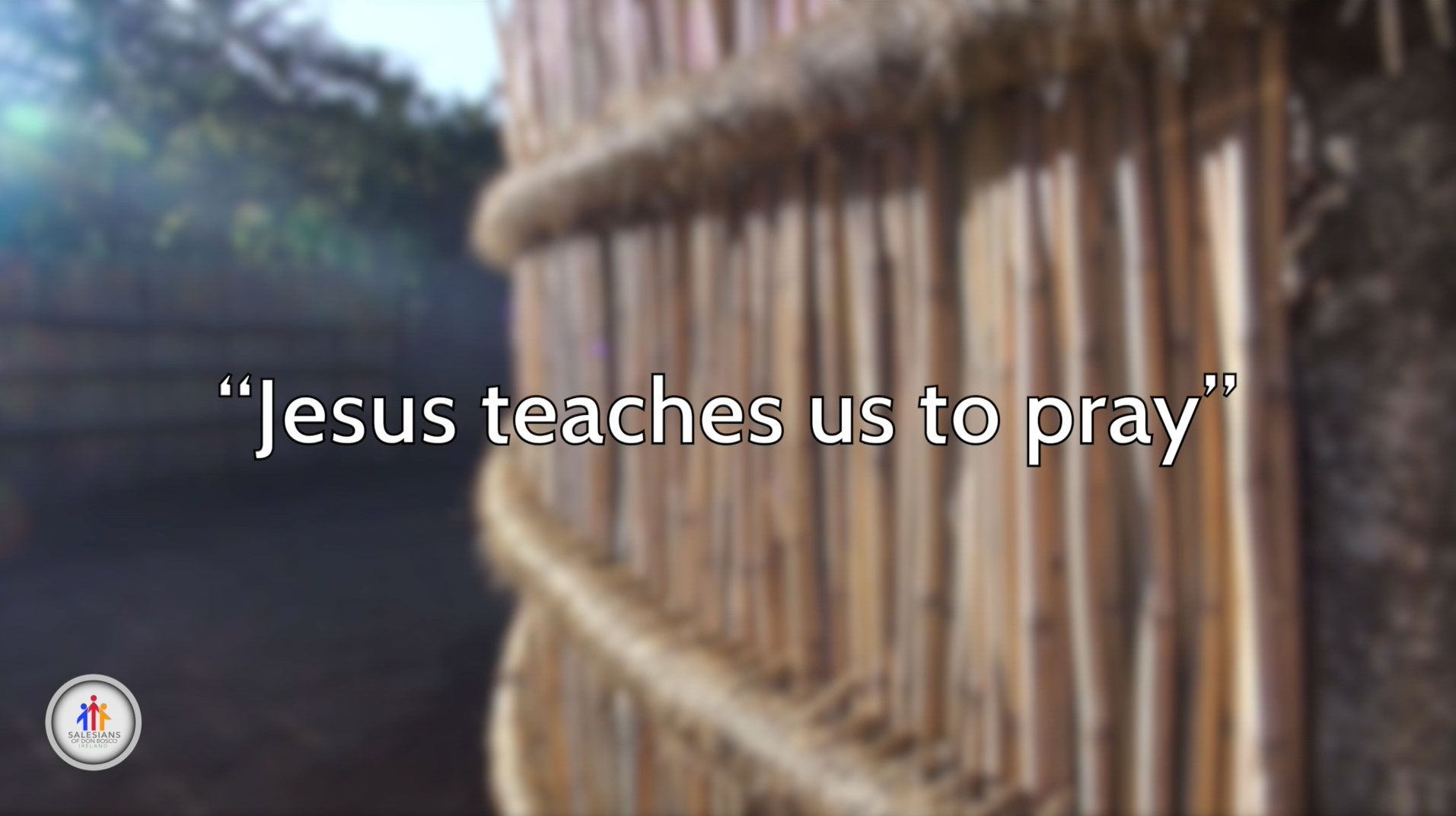 17th Sunday in Ordinary Time – Sunday Reflection