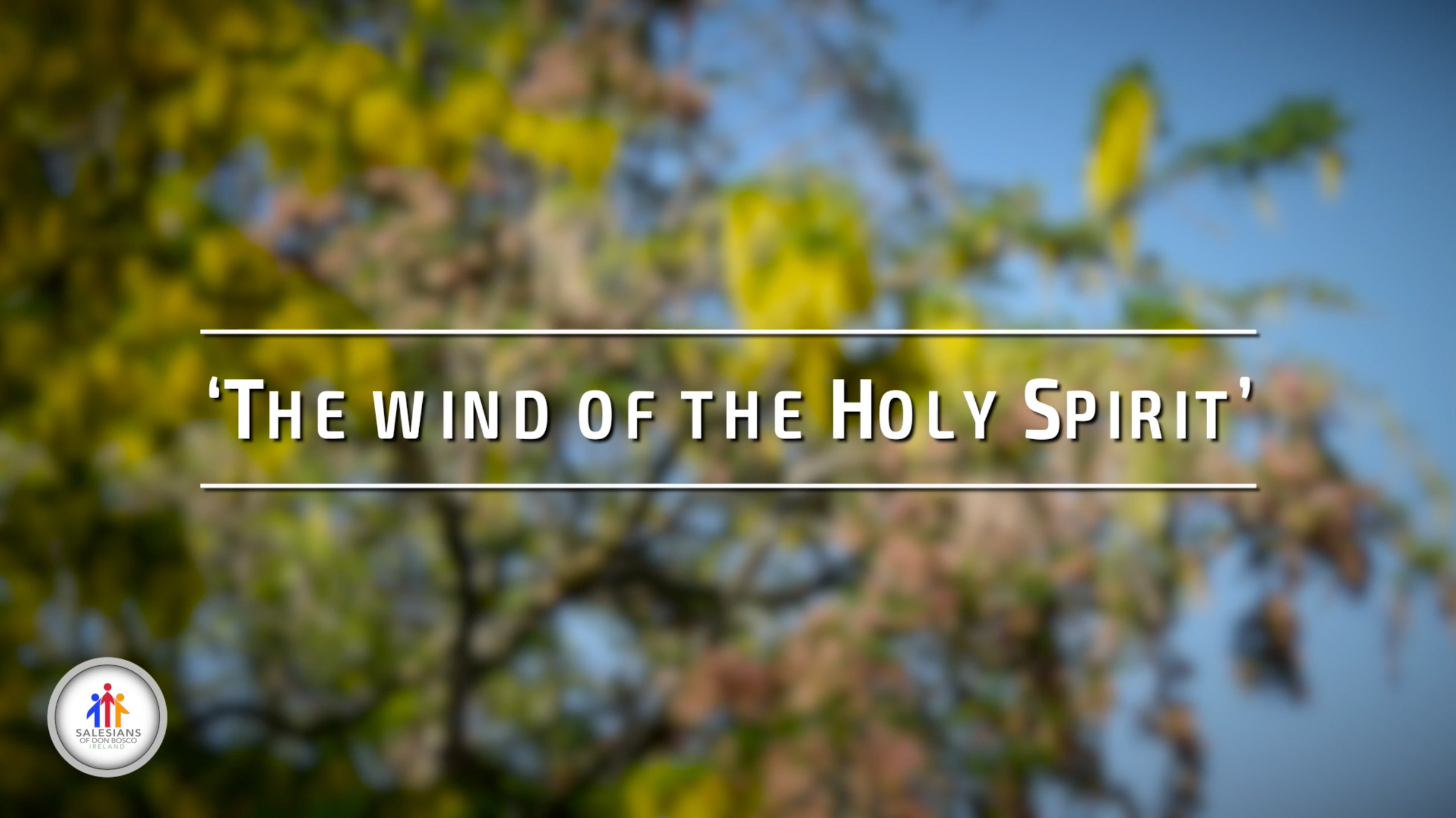 Pentecost – Sunday Reflection